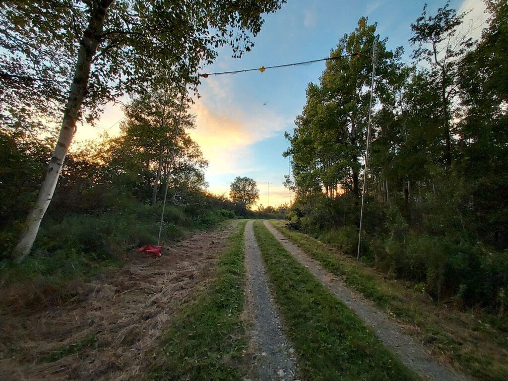 Bat Inventory and Monitoring - Moonrise Ecological Services