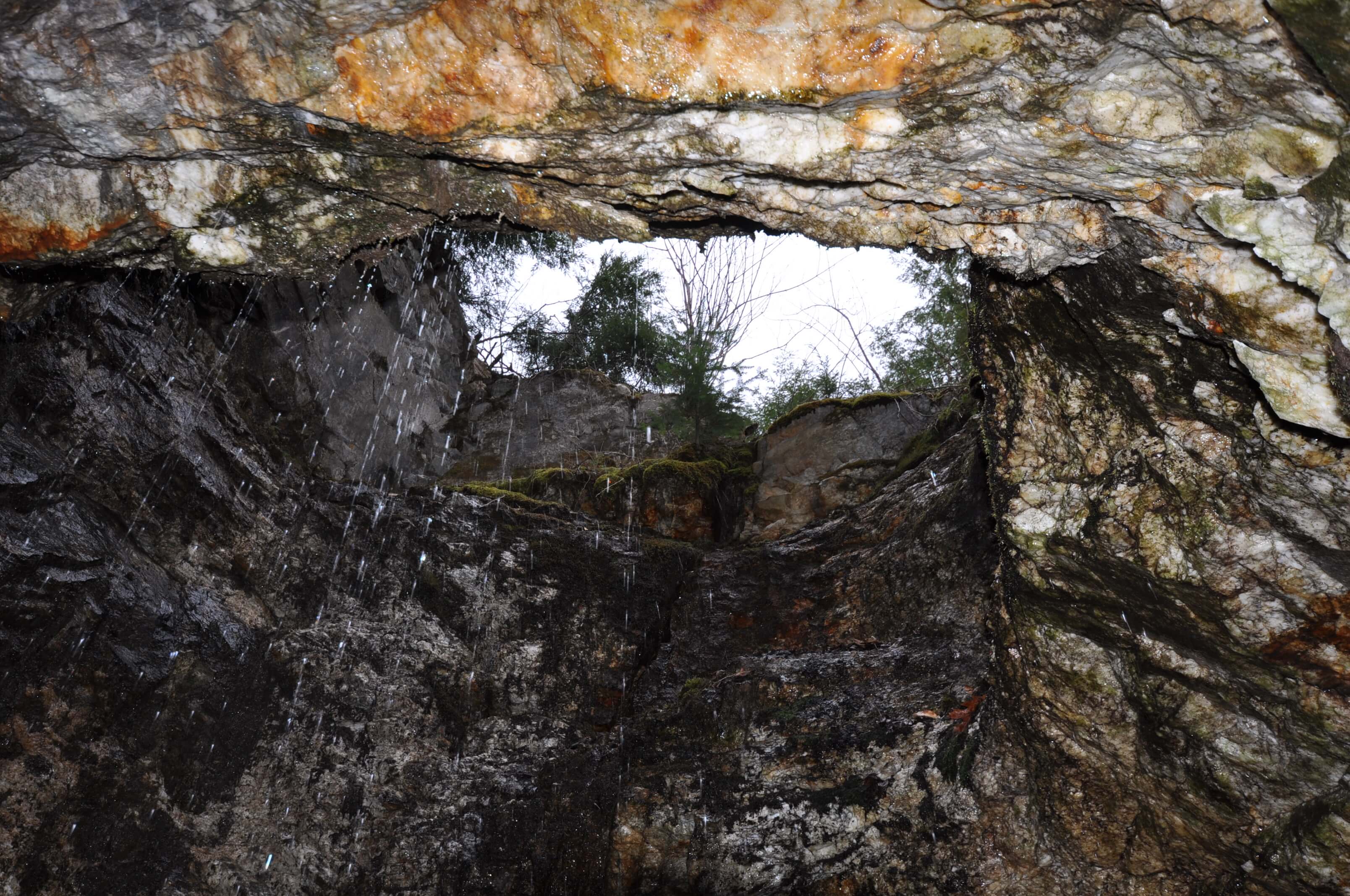 Portfolio - Moonrise Ecological Services