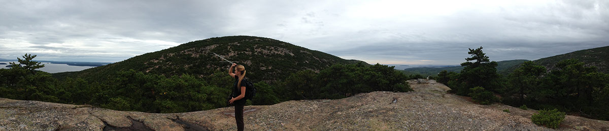Radio-Telemetry and Movement Studies - Moonrise Ecological Services